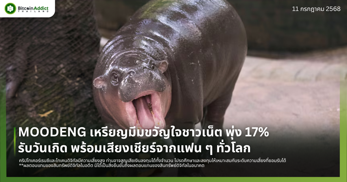 MOODENG เหรียญมีมขวัญใจชาวเน็ต พุ่ง 17% รับวันเกิด ครบรอบ 1 ปี พร้อม ...
